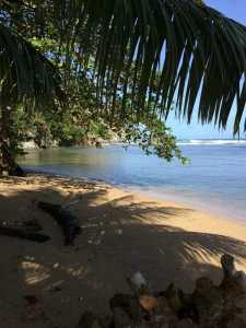 Dominica: Rugged Jewel of the Caribbean - Out Chasing Stars