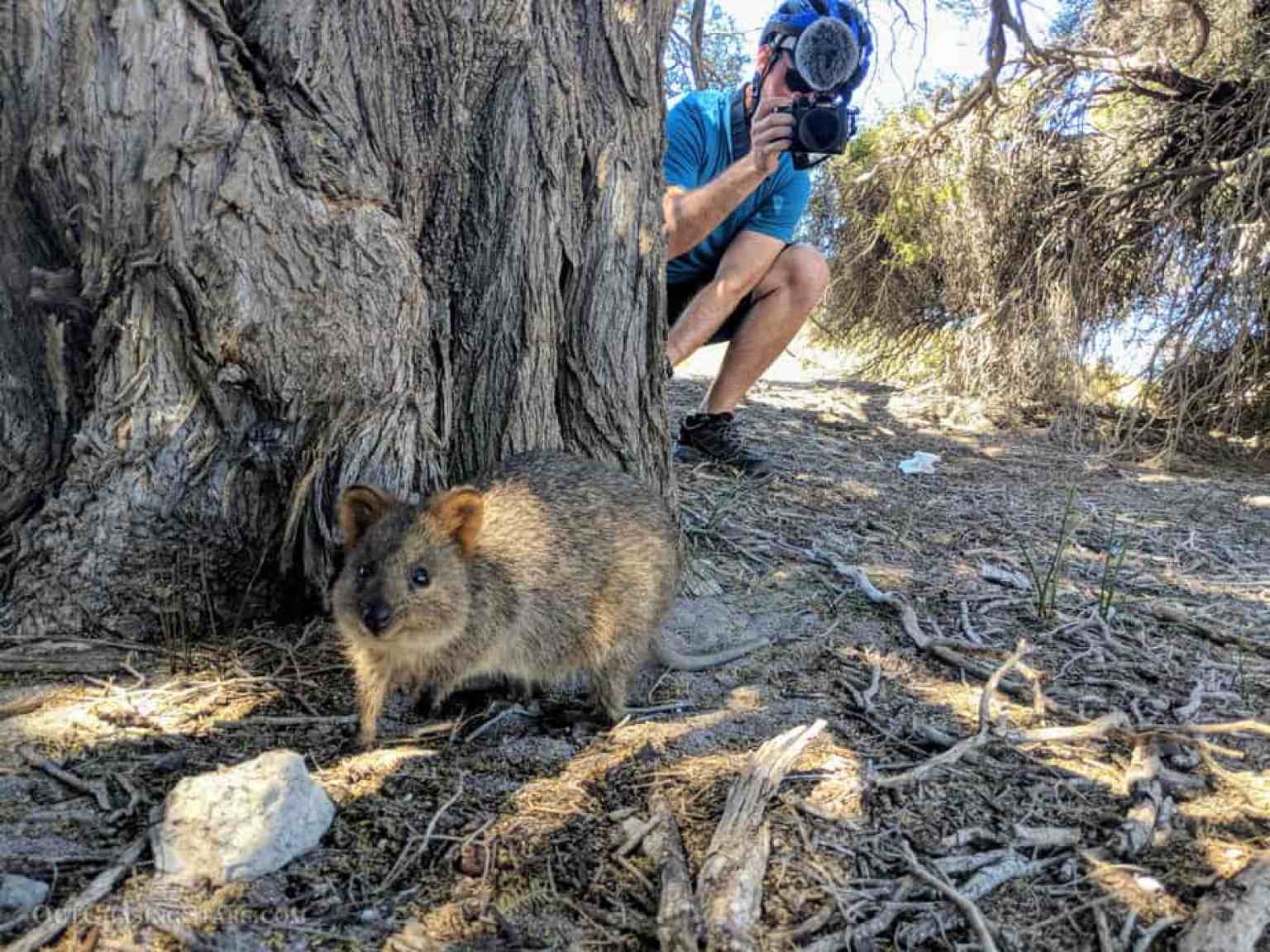 Gear & Cameras for Sailing Videos & Photos - Out Chasing Stars