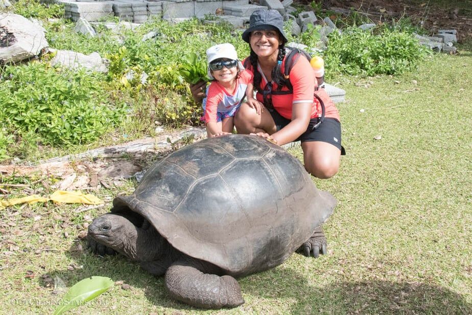Meeting Giant Tortoises on Curieuse Island - Out Chasing Stars